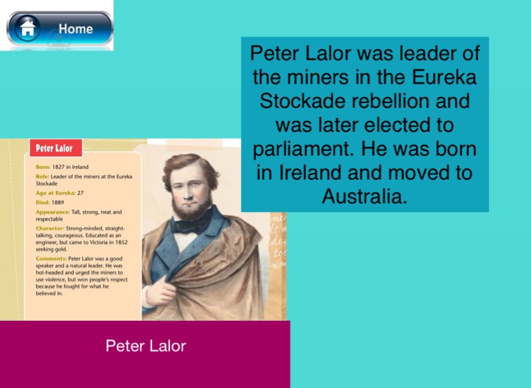 Peter Lalor - Screen 3 on FlowVella - Presentation Software for Mac ...