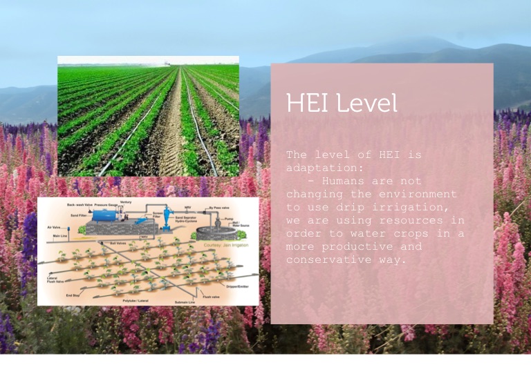 HEI project - Screen 5 on FlowVella - Presentation Software for Mac ...