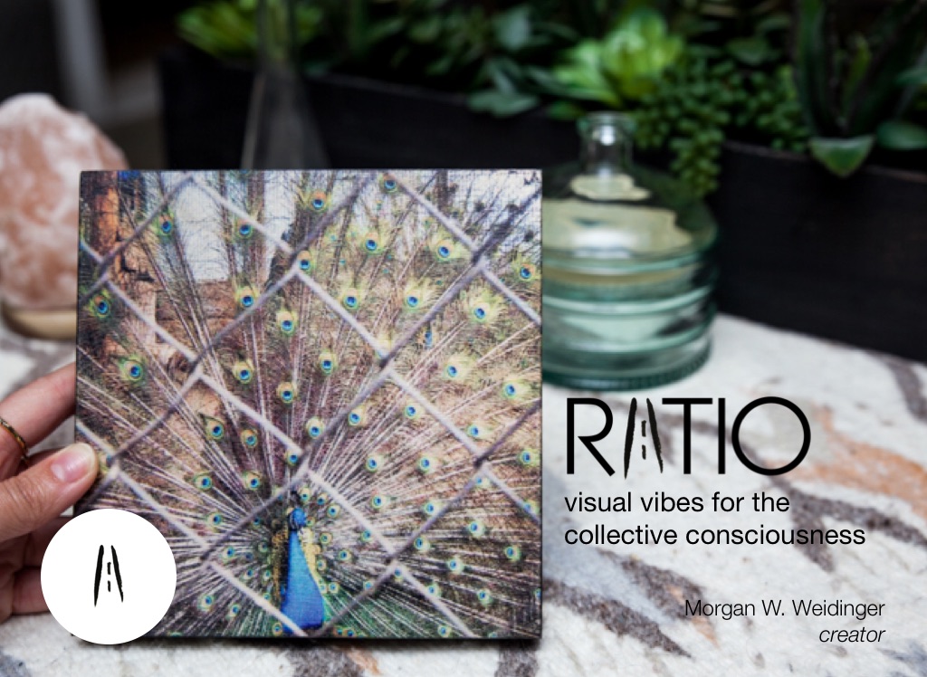 RATIO reading pitch deck on FlowVella - Presentation Software for Mac ...