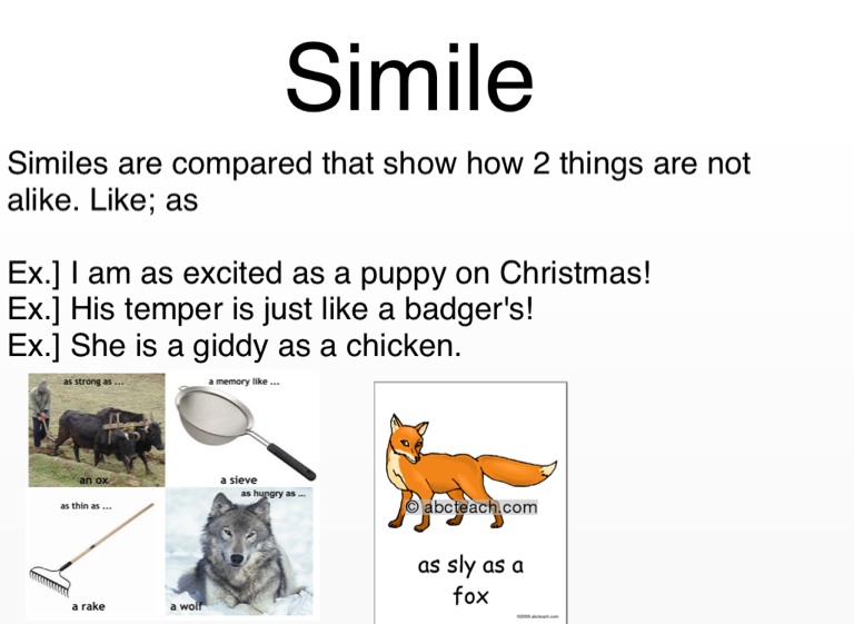 Fig lang - Screen 8 on FlowVella - Presentation Software for Mac iPad ...