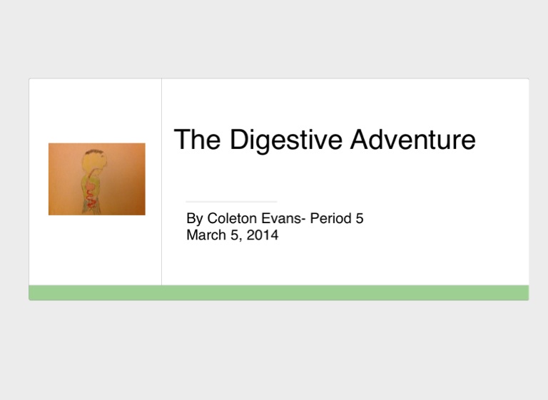 The Digestive Adventure on FlowVella - Presentation Software for Mac ...