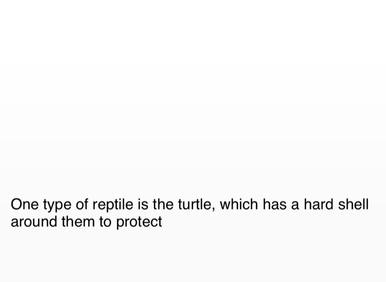 Reptiles by Matthew Pennino - Screen 4 on FlowVella - Presentation ...