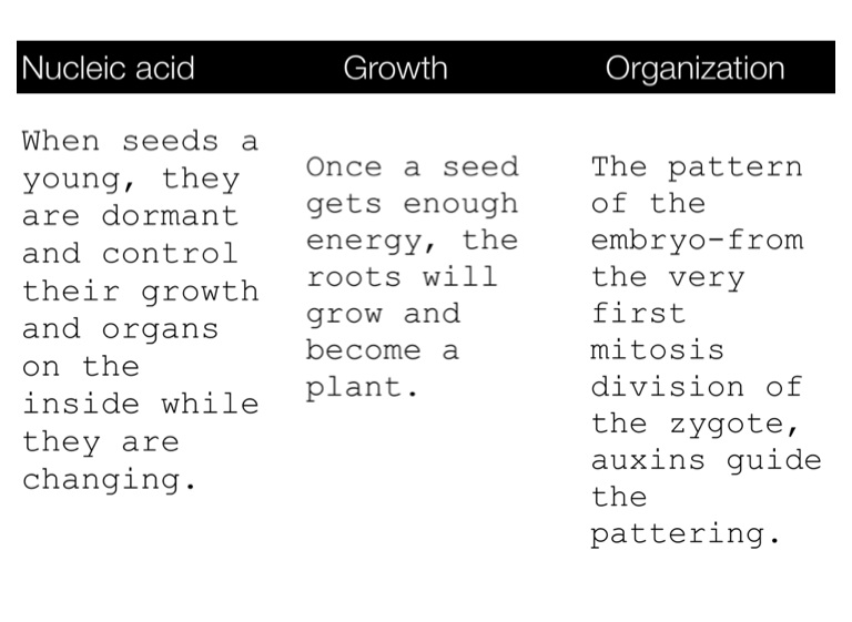 Are Seeds and Plants Living? Brianna and Caiden - Screen 5 on FlowVella ...