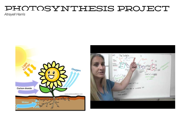 Photosynthesis Project on FlowVella - Presentation Software for Mac ...