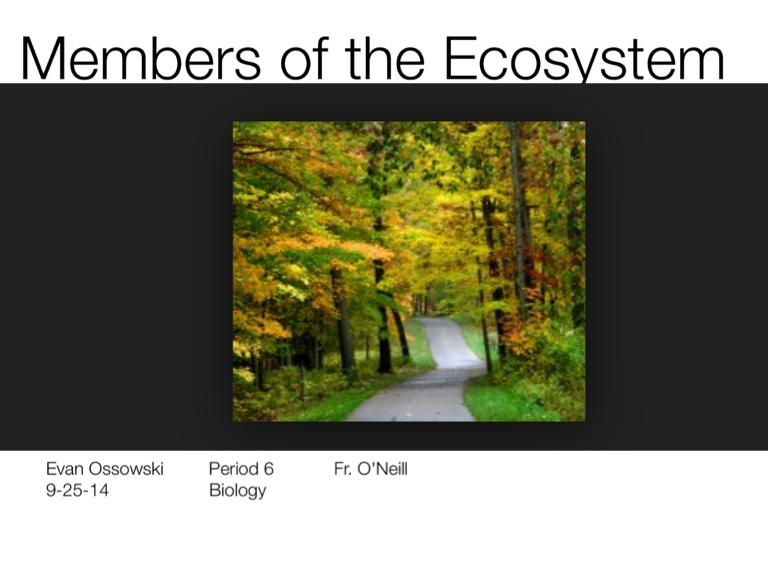 Biology members of an ecosystem on FlowVella - Presentation Software ...