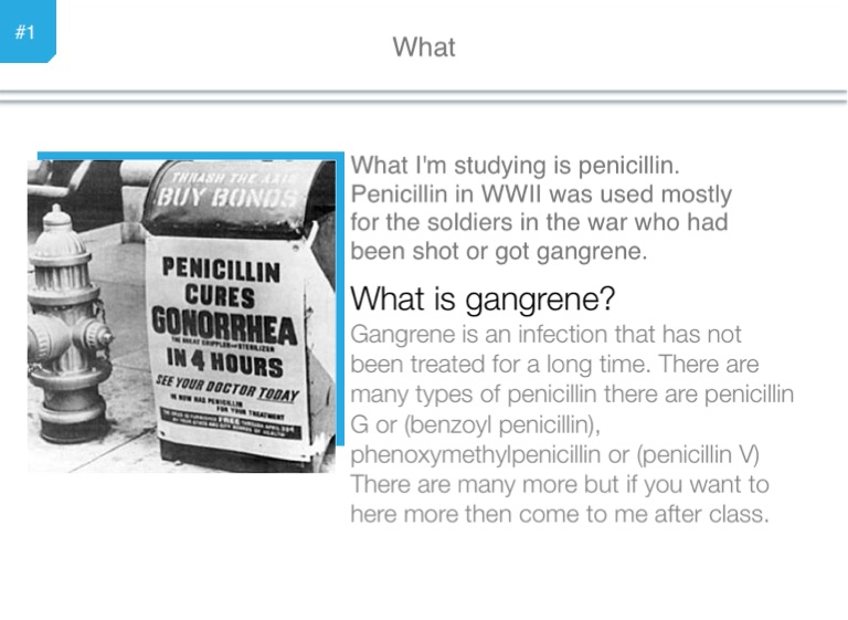 Penicillin WWII - Screen 2 on FlowVella - Presentation Software for Mac ...