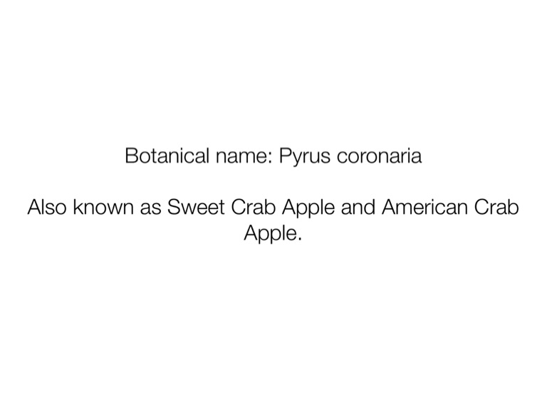 Native plant species project - Screen 3 on FlowVella - Presentation ...