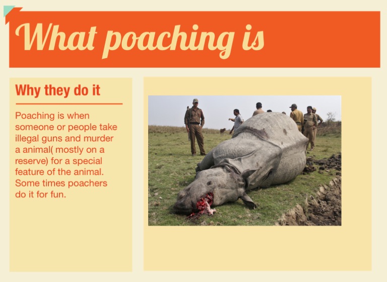 Poaching - Screen 3 on FlowVella - Presentation Software for Mac iPad ...