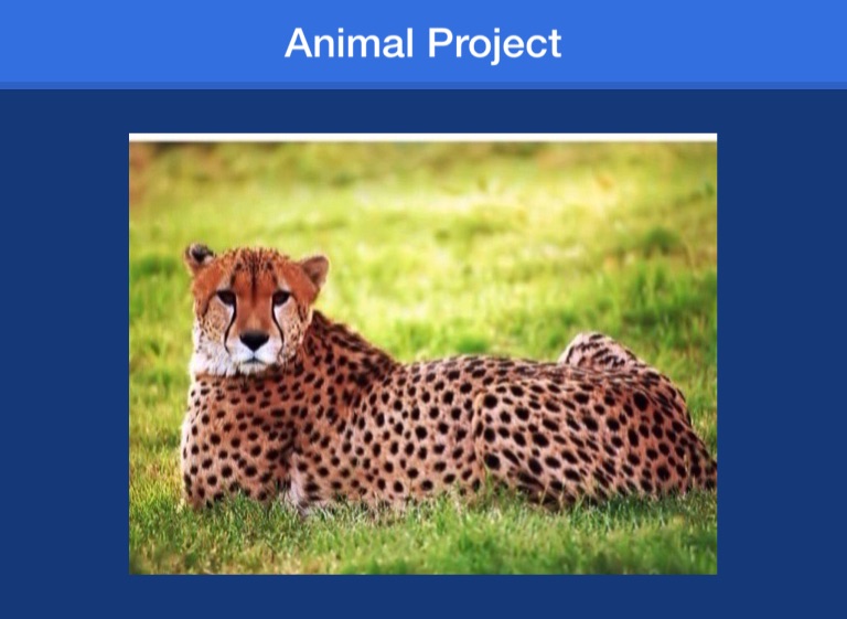 Animal Project on FlowVella - Presentation Software for Mac iPad and iPhone