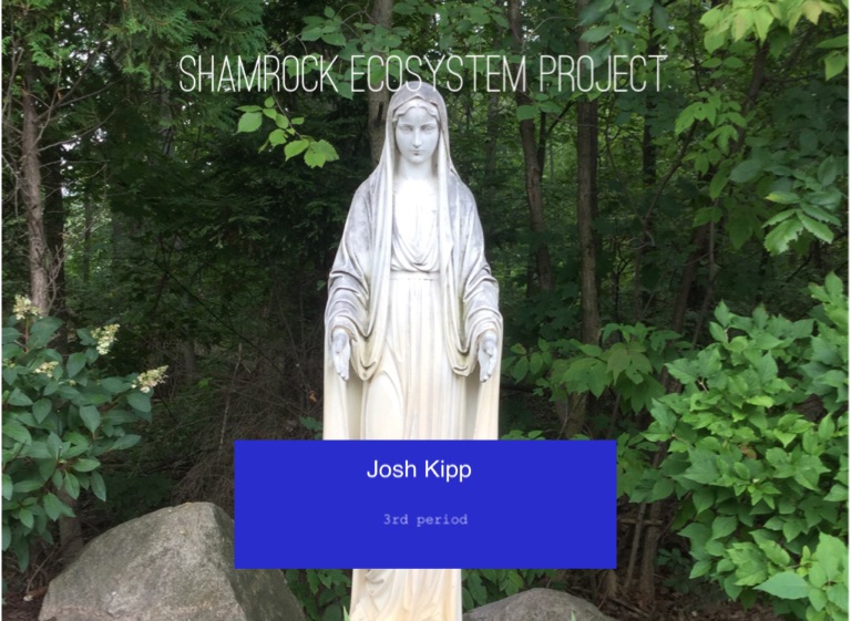 Josh Kipp on FlowVella - Presentation Software for Mac iPad and iPhone