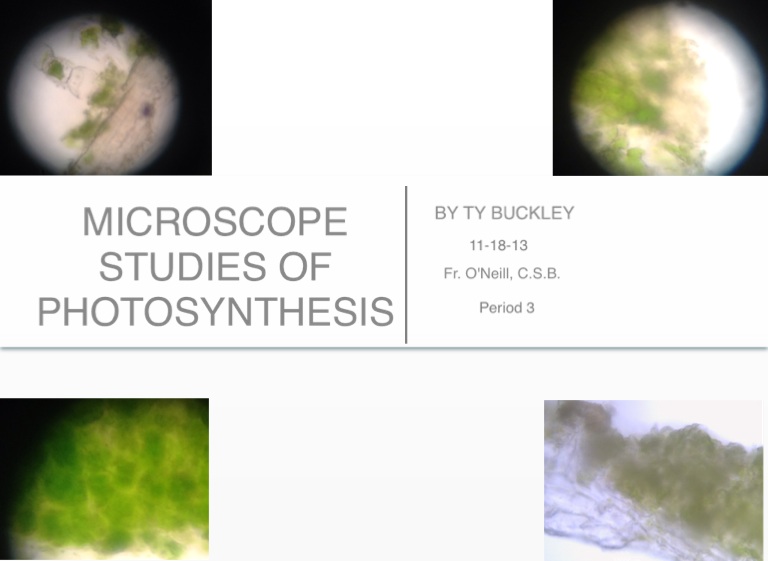 Microscope studies of Photosynthesis on FlowVella - Presentation ...