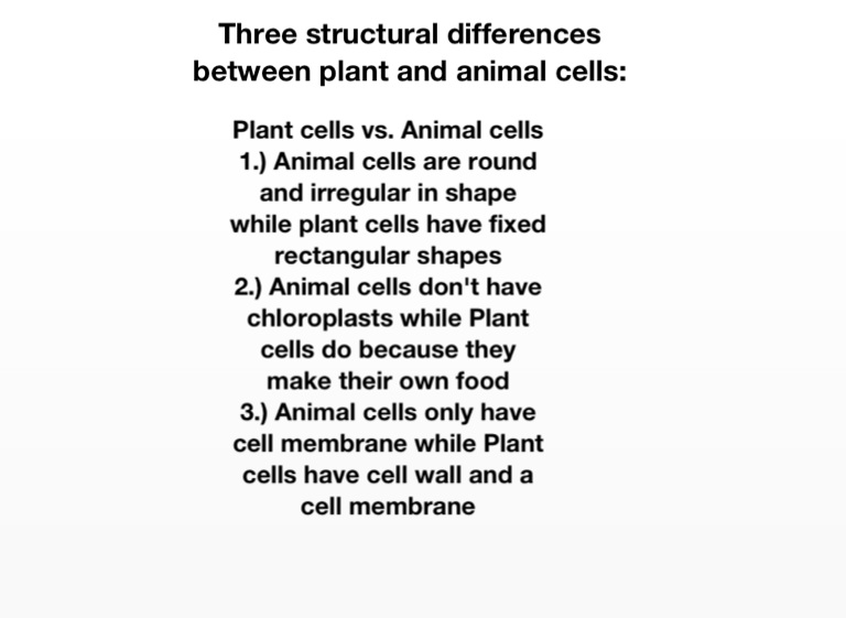 Cell project - Screen 5 on FlowVella - Presentation Software for Mac ...