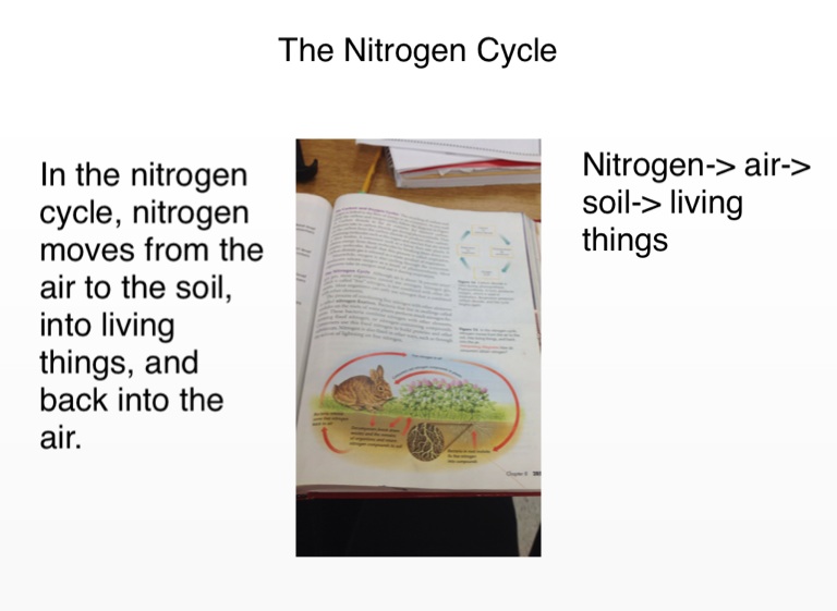 Ecosystems and Energy Flow Flipbook - Screen 11 on FlowVella ...